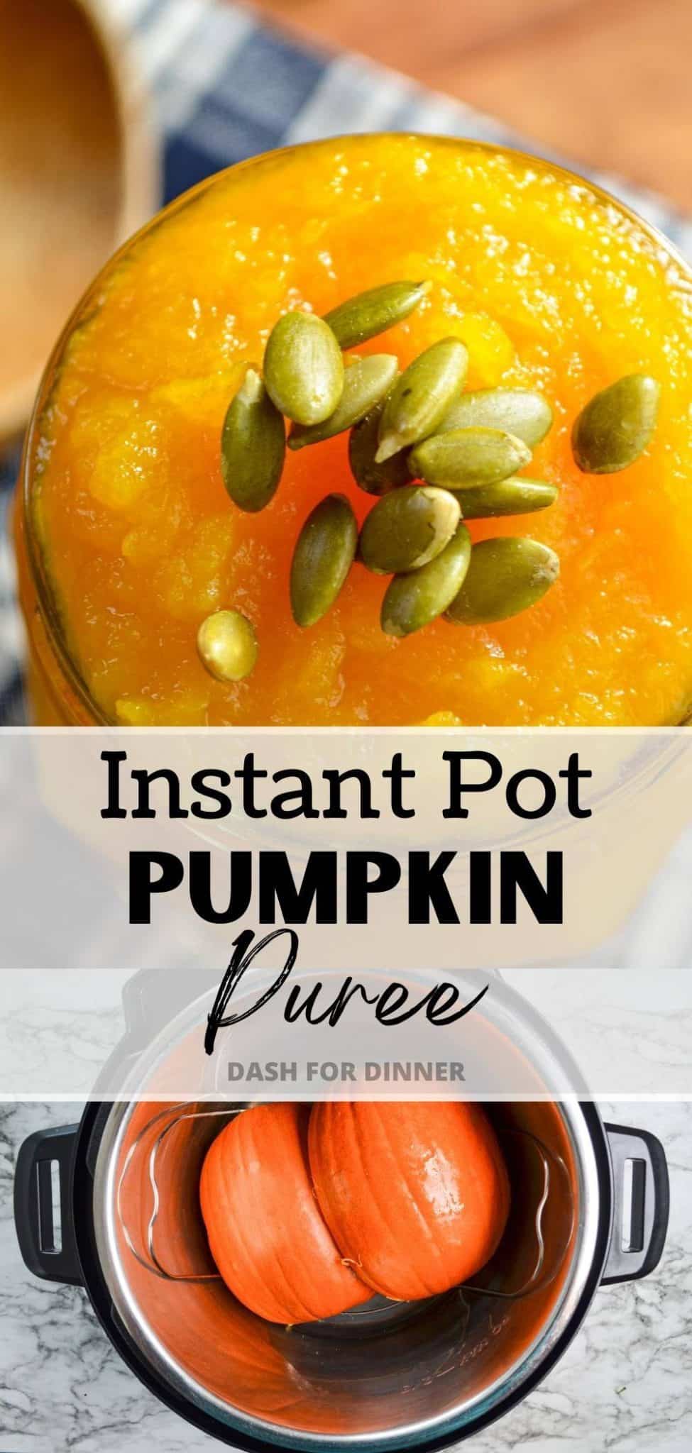 Instant Pot Pumpkin Puree {Step by Step Instructions} - Dash for Dinner