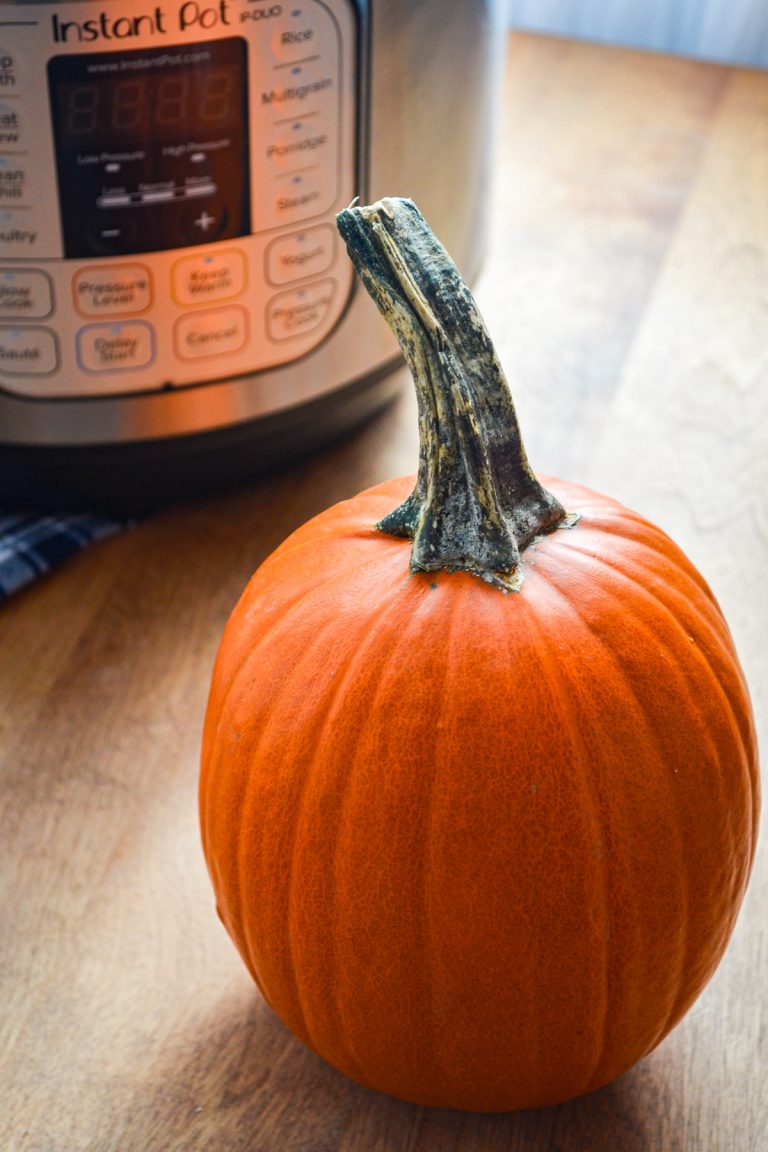 Instant Pot Pumpkin Puree {Step by Step Instructions} - Dash for Dinner