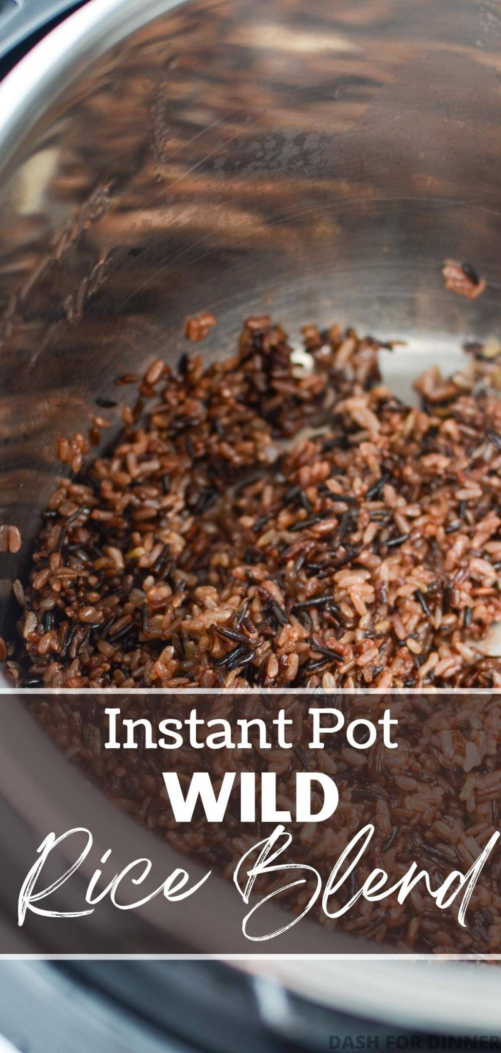 Instant Pot Wild Rice Blend - Dash for Dinner