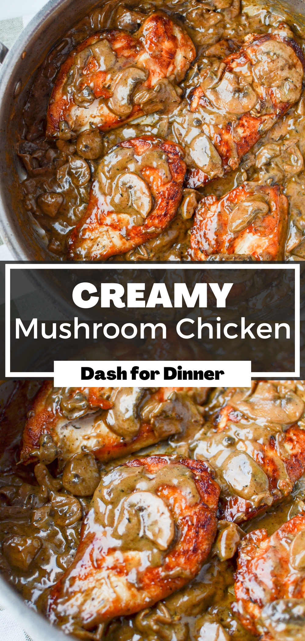 Creamy Mushroom Chicken - Dash for Dinner