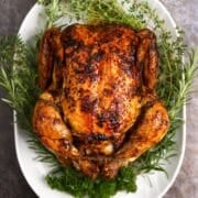 Oven Roasted Whole Chicken (So Juicy!) - Dash for Dinner