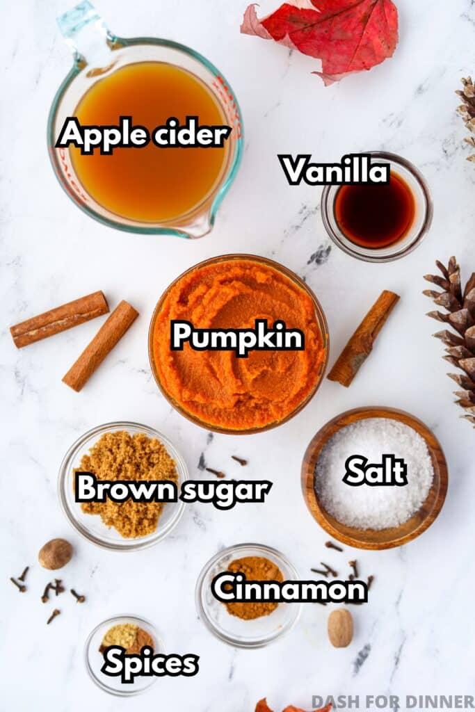 Pumpkin Cider Recipe (Stovetop + Slow Cooker Instructions) - Dash for ...