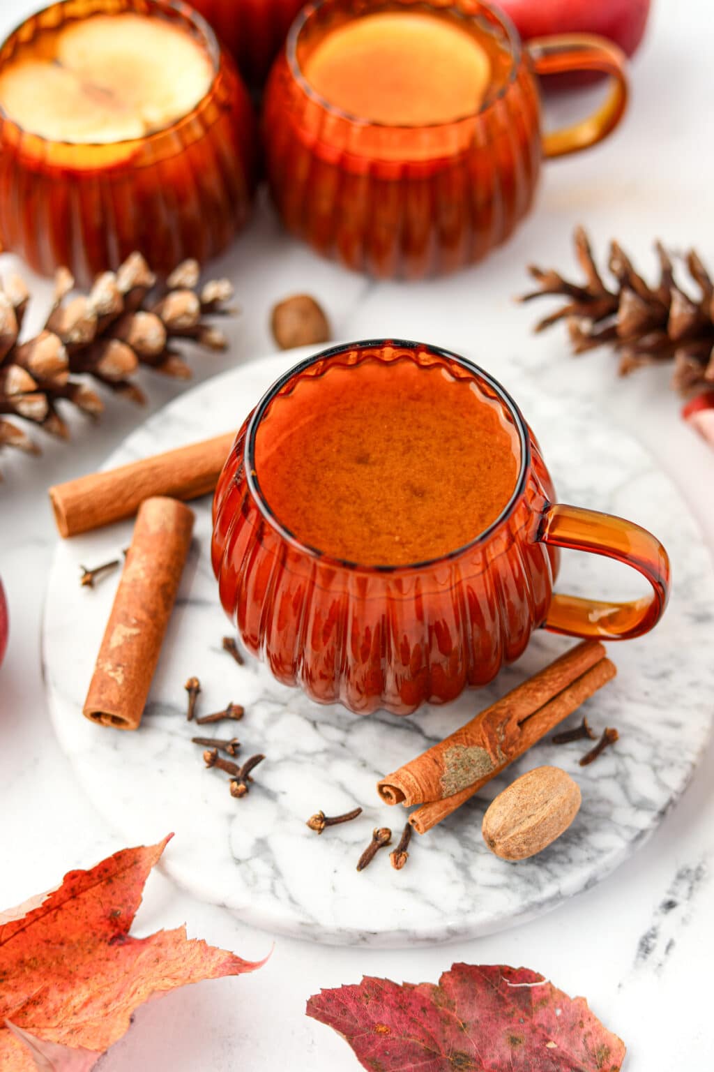Pumpkin Cider Recipe (Stovetop + Slow Cooker Instructions) - Dash for ...