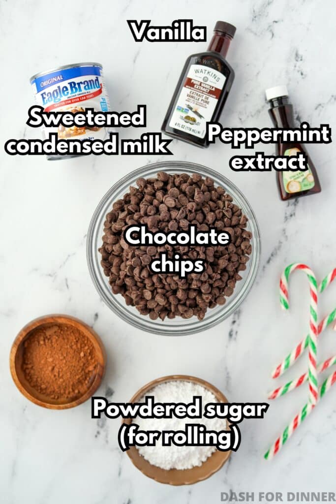 Easy Peppermint Truffles (5 Ingredients!) - Dash for Dinner