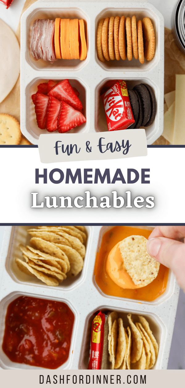 Homemade Lunchables (Classic, Pizza, Nachos, + Adult Ideas) - Dash for ...